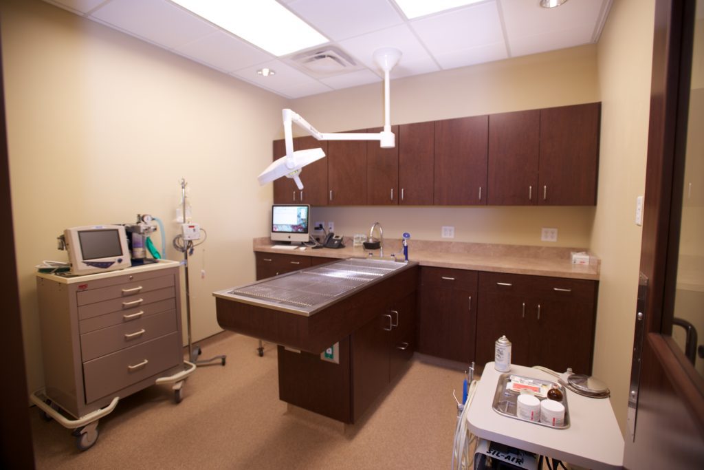 Eden Veterinary Hospital | TerWisscha Construction & Design