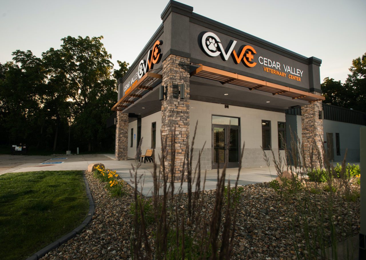 Cedar Valley Veterinary Center | TerWisscha Construction & Design