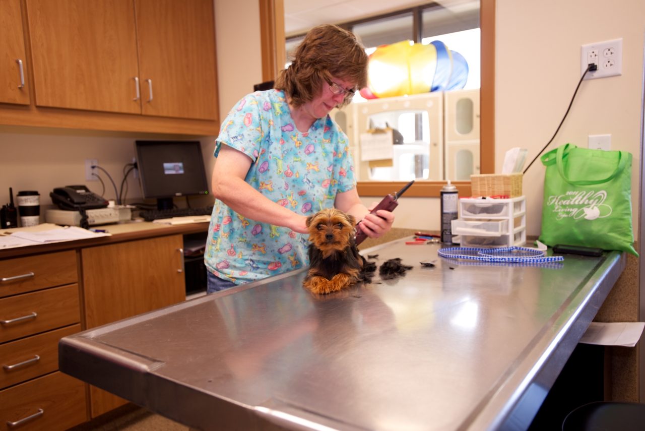 Sunbury Animal Hospital | TerWisscha Construction & Design