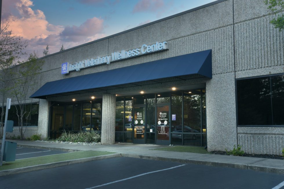 Insight Veterinary Wellness Center | TerWisscha Construction & Design