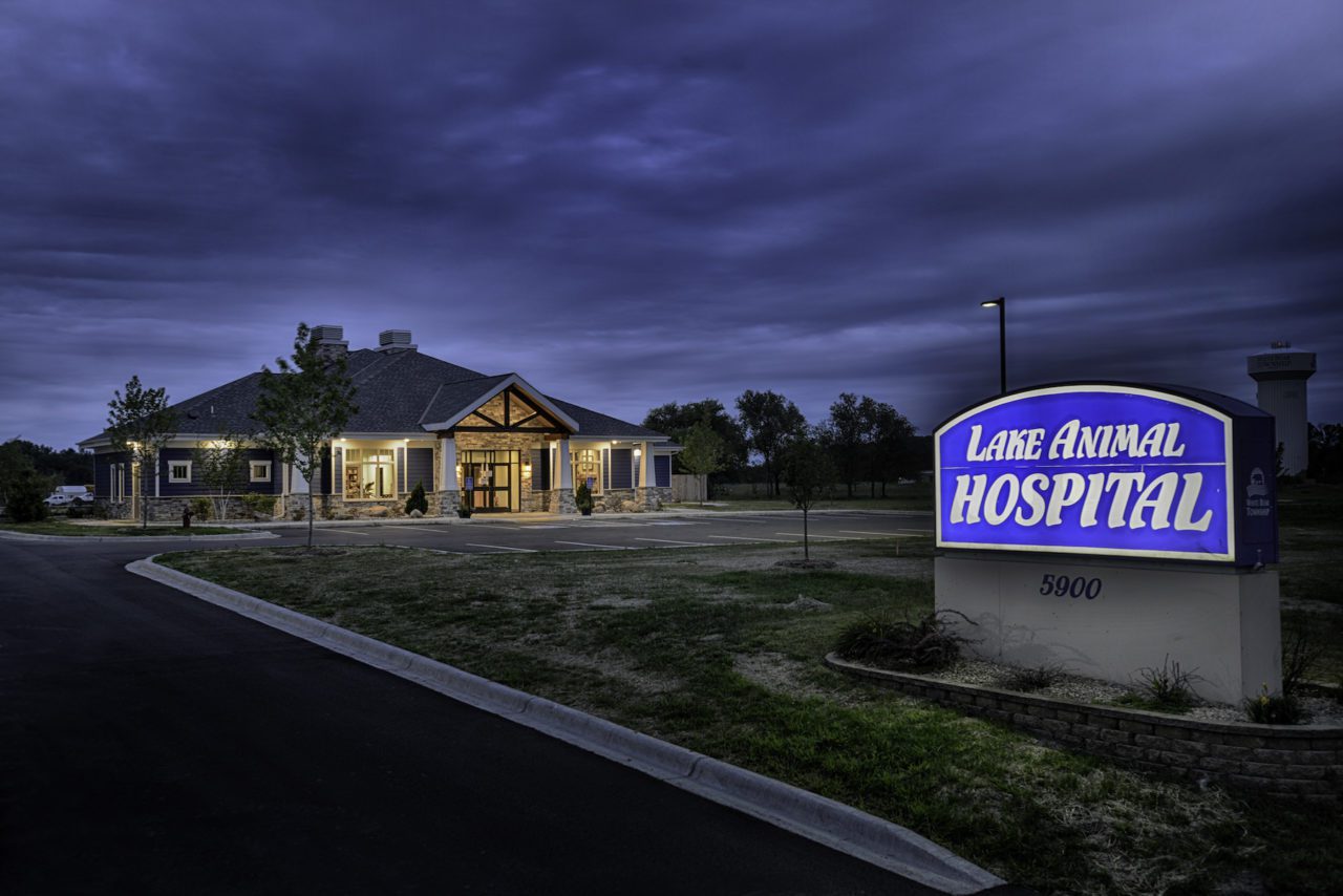 Lake Animal Hospital | TerWisscha Construction & Design