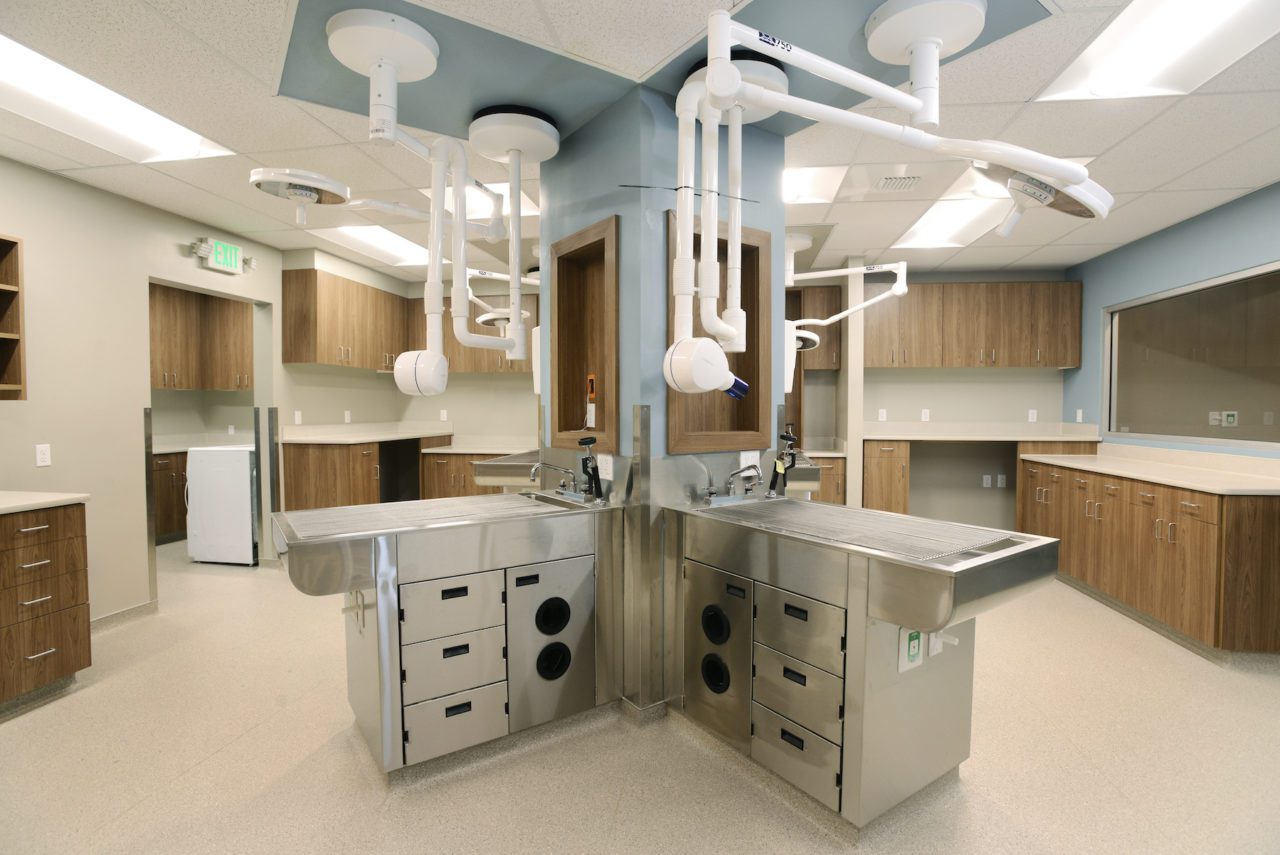 The Veterinary Surgical Center at Beaumont | TerWisscha Construction ...
