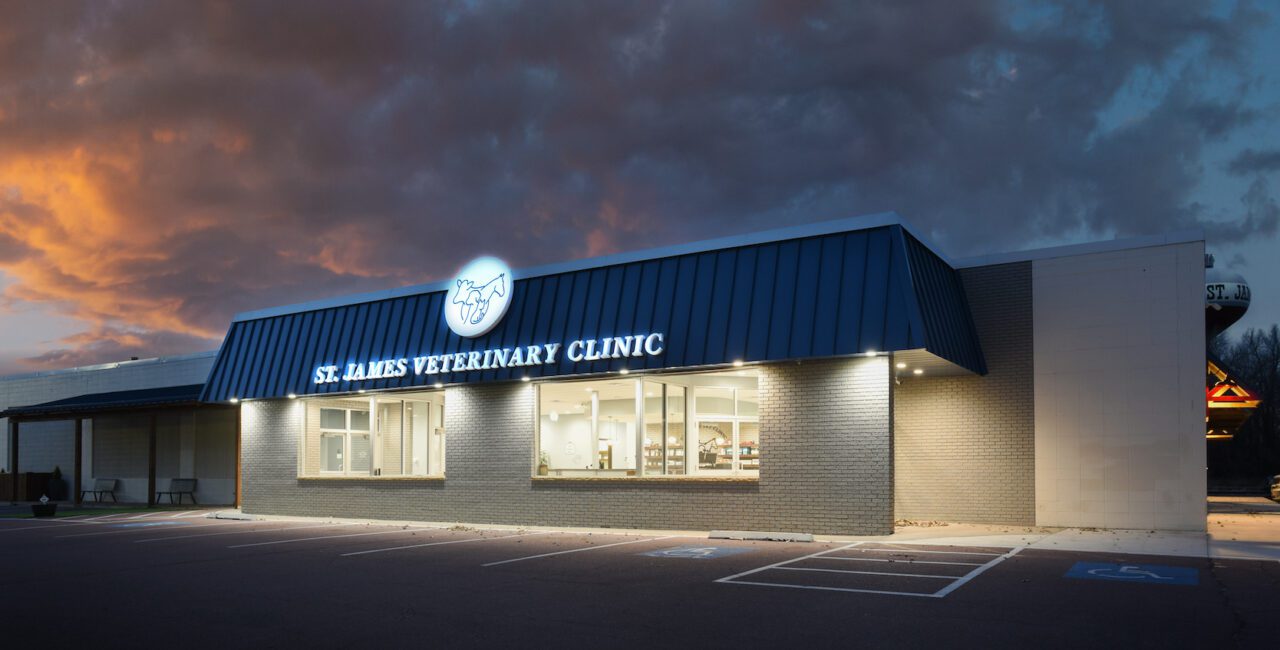 St. James Veterinary Clinic | TerWisscha Construction & Design
