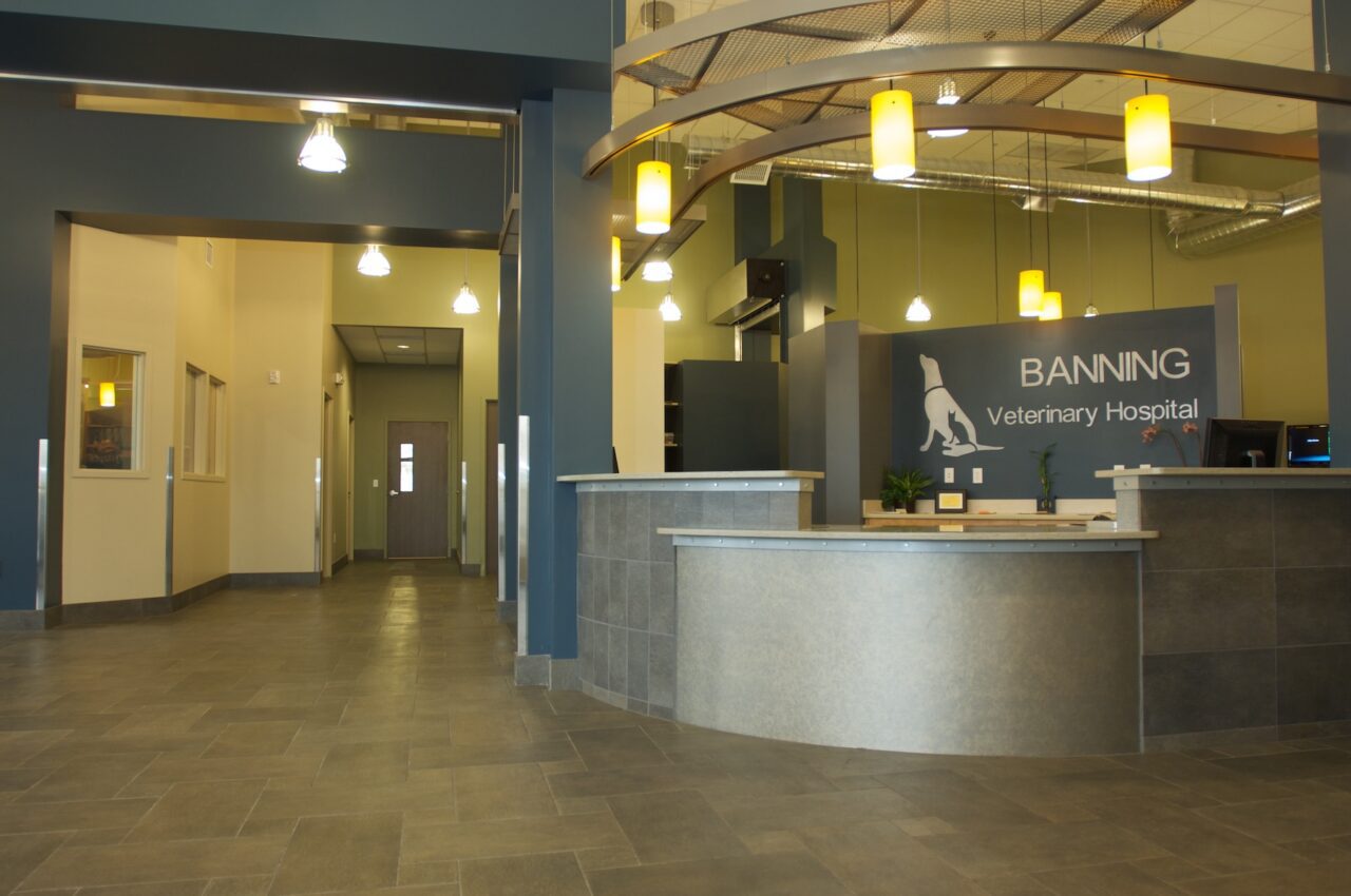 Banning Veterinary Hospital | TerWisscha Construction & Design